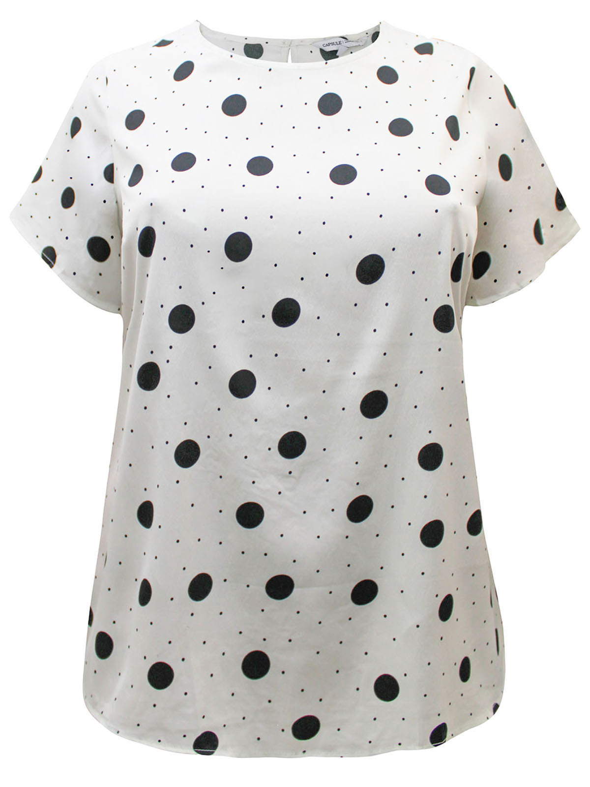 Capsule - - ASSORTED Tops - Plus Size 16 to 32